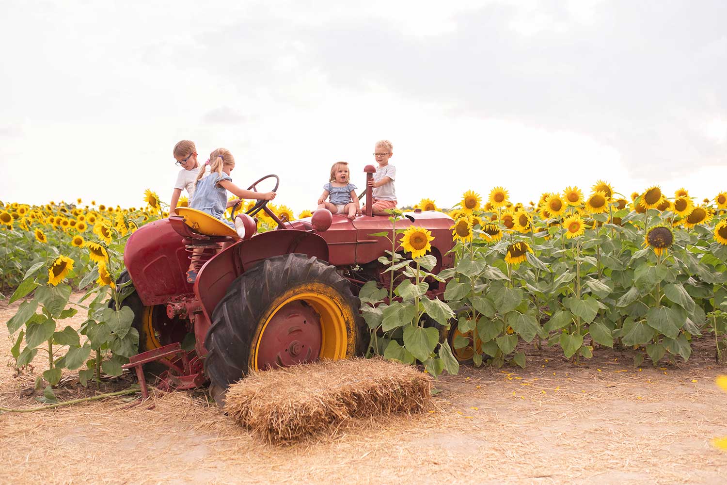 About Us – Personal Best Therapy